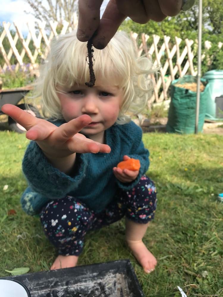 Projects – littleforestschool